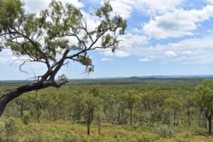 Ironbark House Dimbulah – Eco-Sustainable Accommodation in Far North ...